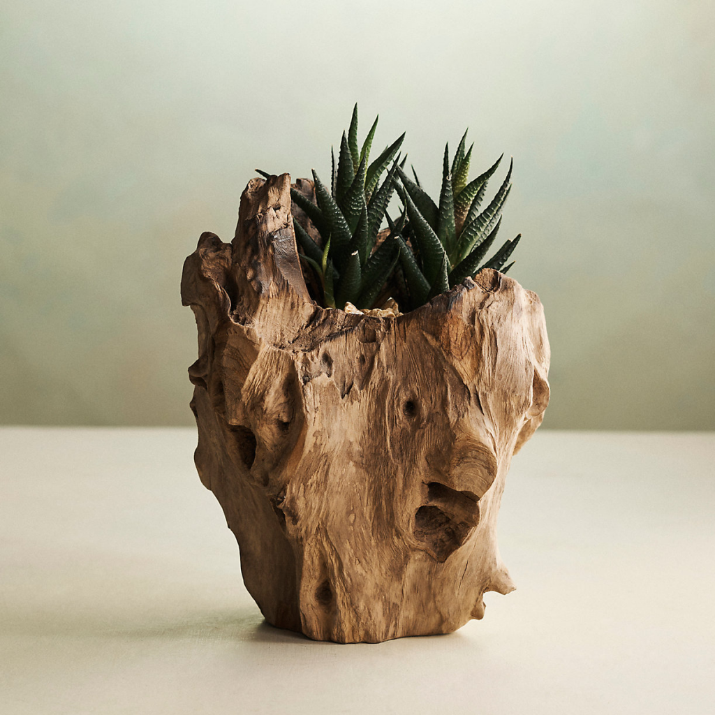 9 Unique Planters To Beautify Your Home – HomeLoversChoice.net